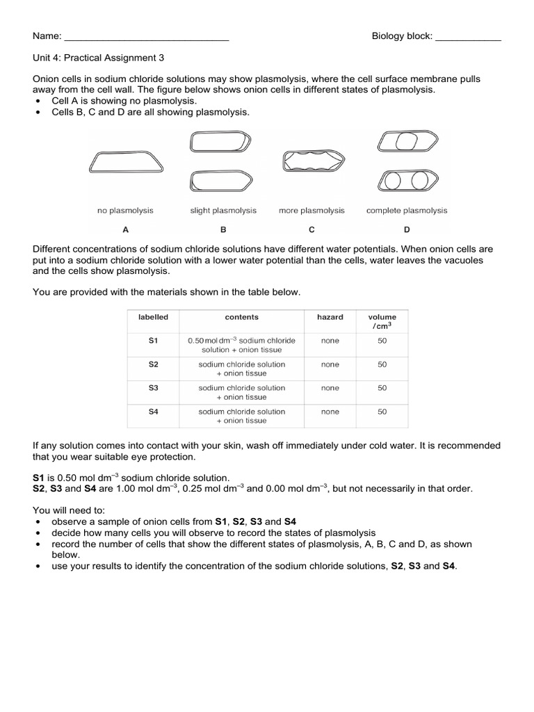 9700 Biology Practical Assignment 23 | PDF | Epithelium | Sodium