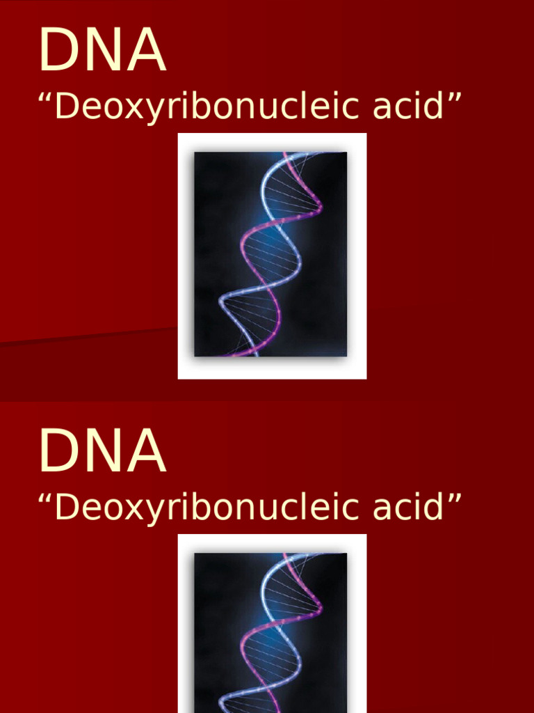 DNA Structure and Recombinant Tech | PDF | Dna | Recombinant Dna