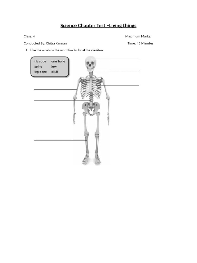 Class 4 Science: Skeletons Test | PDF