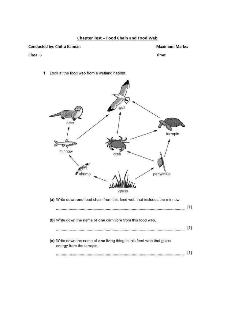 Chapter Test - Class 5 - Food Chain and Food Web | PDF