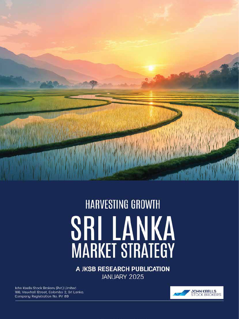 JKSB SL Market Strategy January 2025 | PDF | Debt | Excise