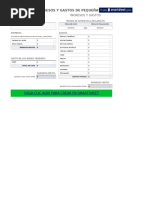 Ejemplos Modelo Pyg | PDF | Economias | Ingresos