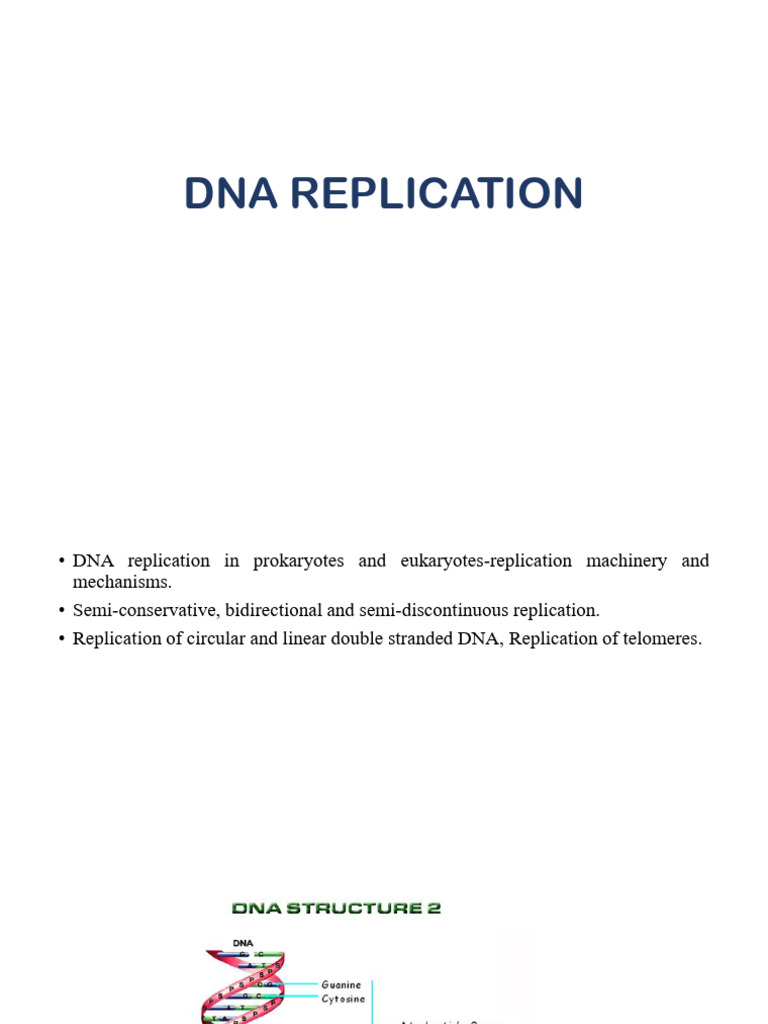PDF DNA REPLICATION_241215_202146 | PDF | Dna Replication | Dna