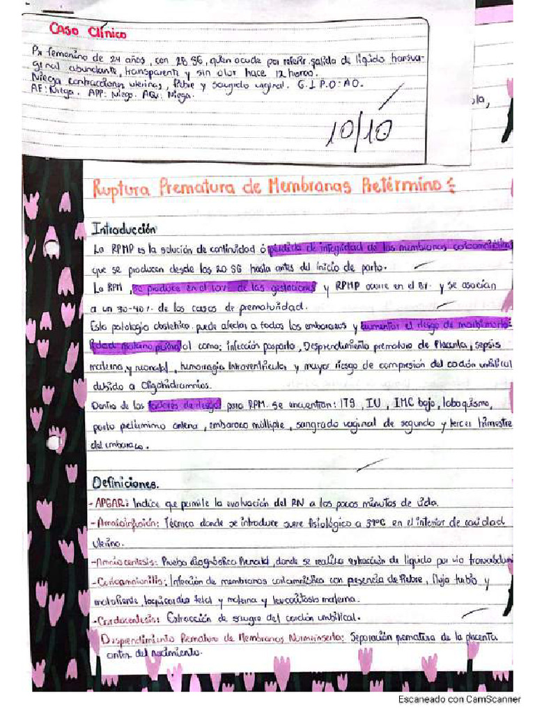 Práctica RPMP | PDF