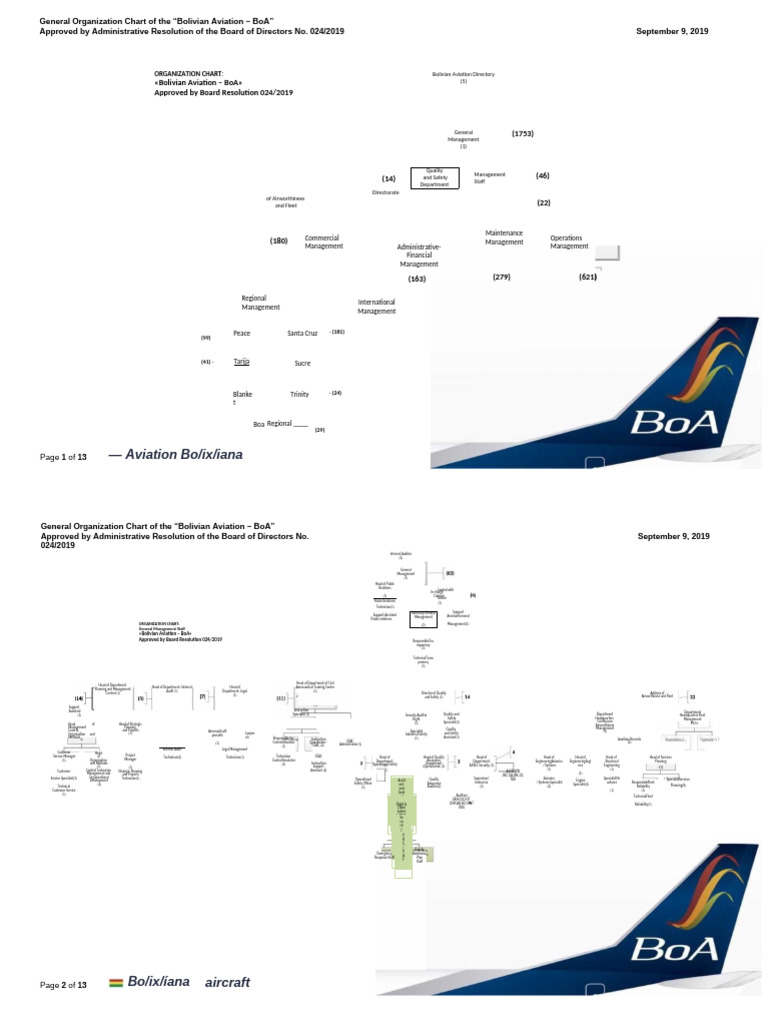 Bolivian Aviation Organization Chart | PDF | Business | Aviation
