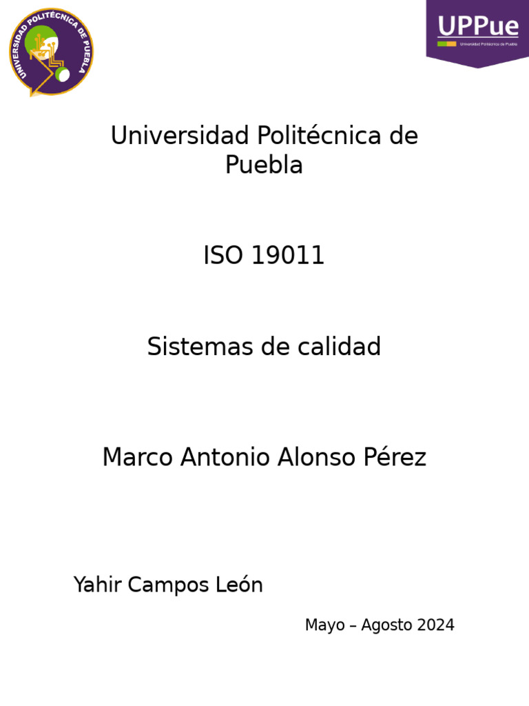 Directrices ISO 19011 para Auditorías | PDF | Auditoría | Business