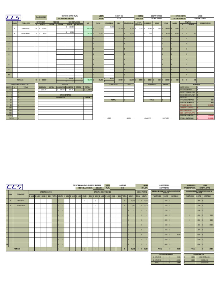 REPORTE DIARIO CCS | PDF