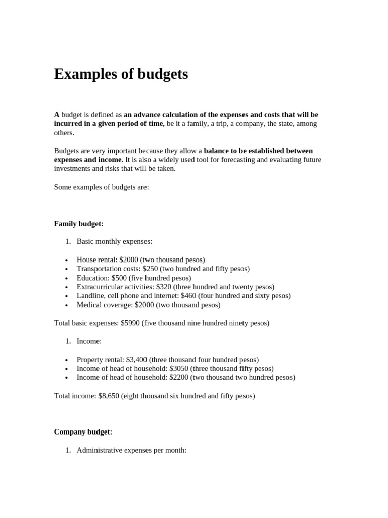 Examples of Budgets | PDF | Budget | Expense