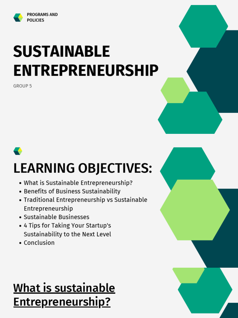 Group 5 Sustainable Entrepreneurship | PDF | Sustainability ...