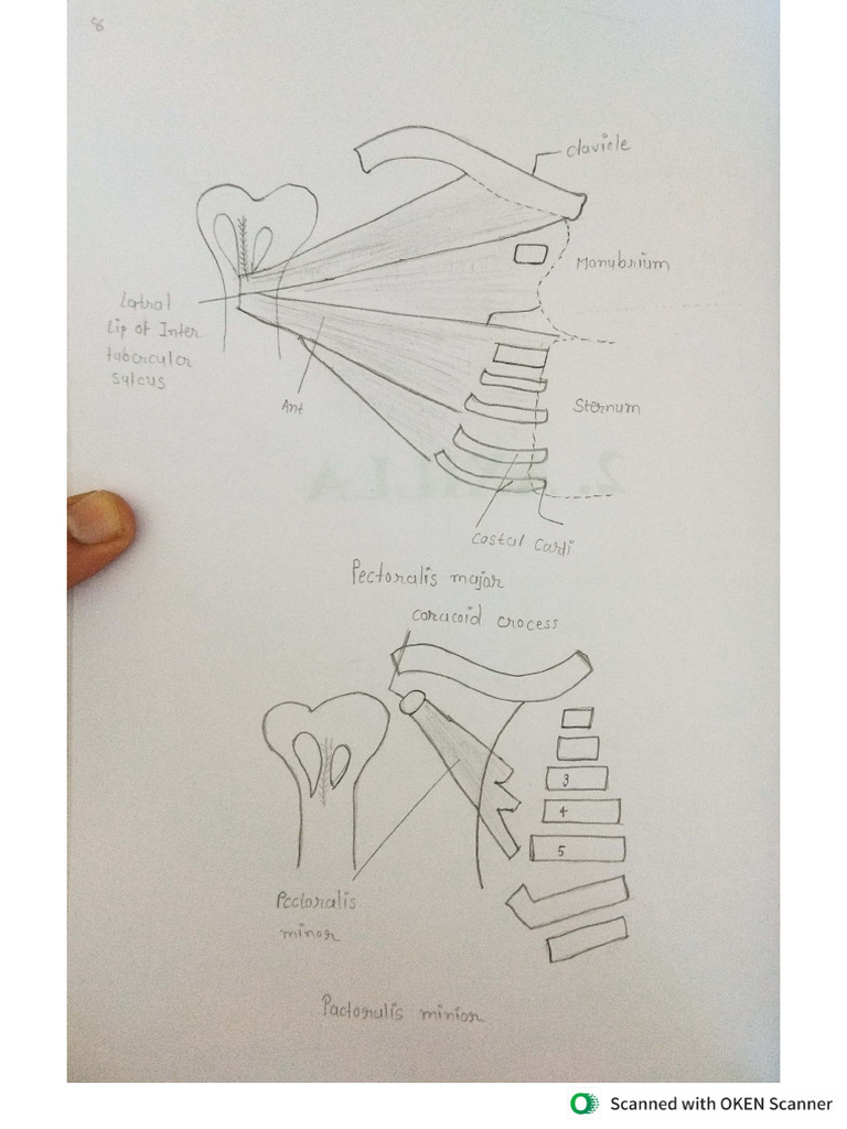 2nd Term Journal. Diagram | PDF