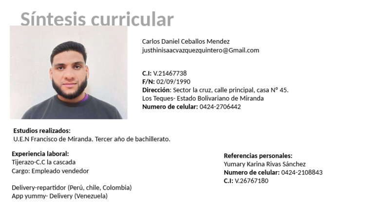 Curriculum Daniel | PDF