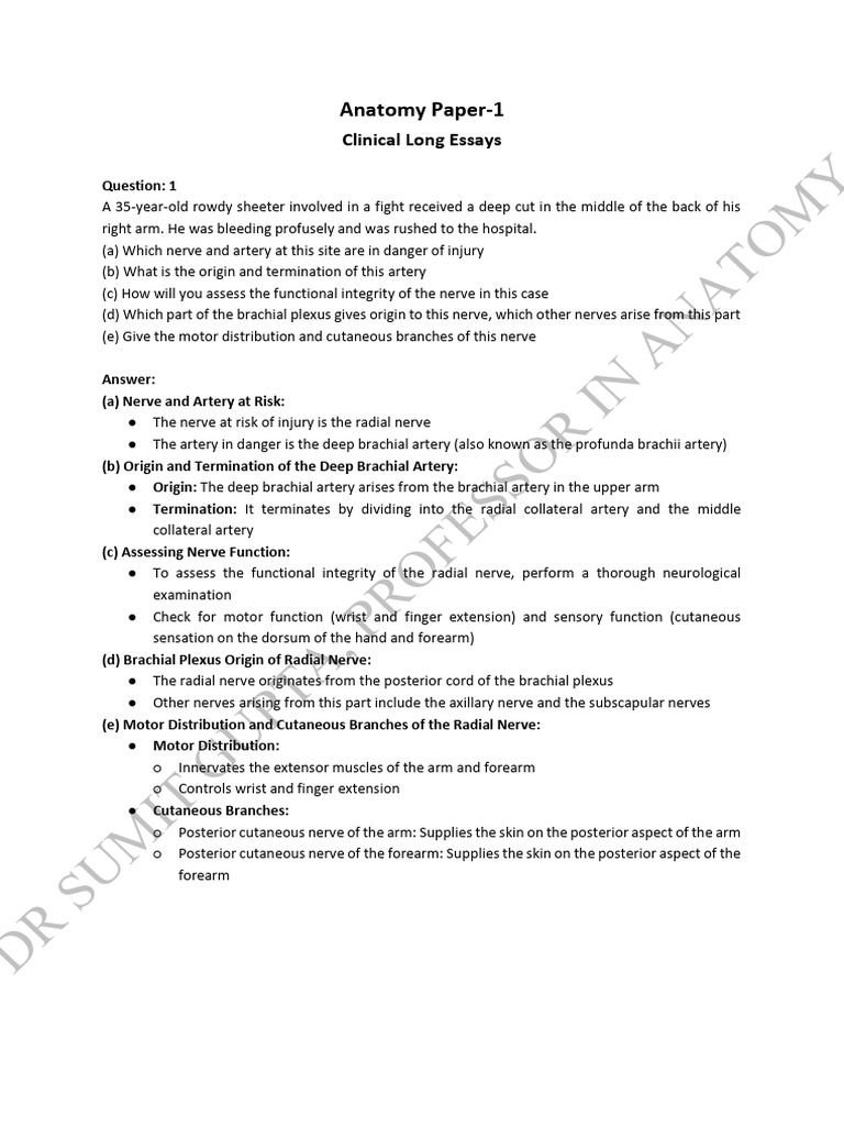 Solved Anatomy Paper (2) | PDF | Knee | Hip