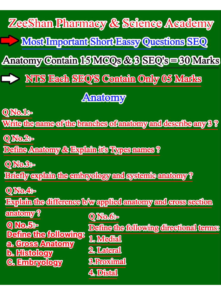 Most Important Short Eassy Questions For Anatomy | PDF