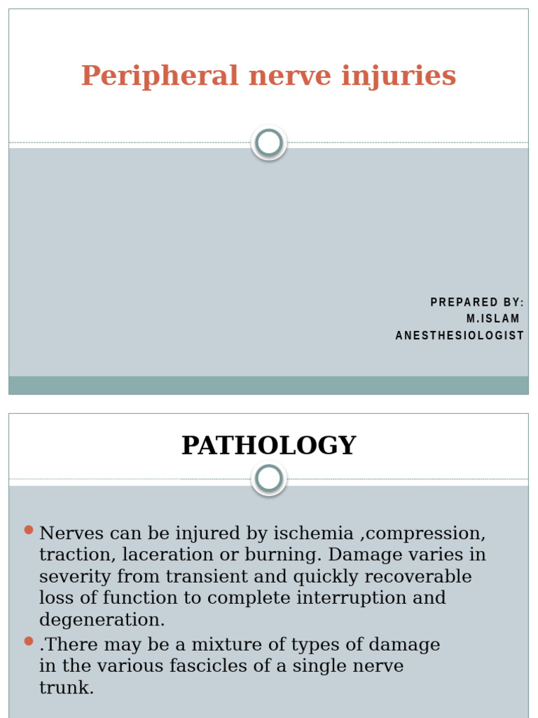 Understanding Peripheral Nerve Injuries | PDF | Axon | Nervous System
