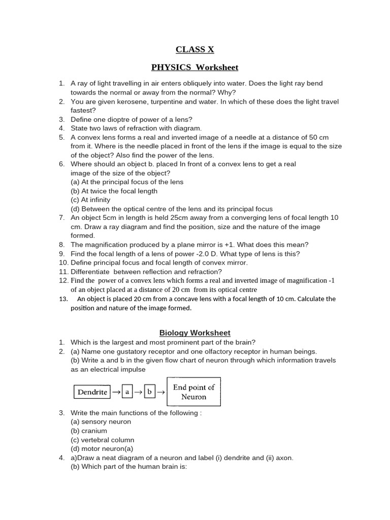 BIO,PHY WORKSHEET CL X (9) | PDF | Neuron | Brain