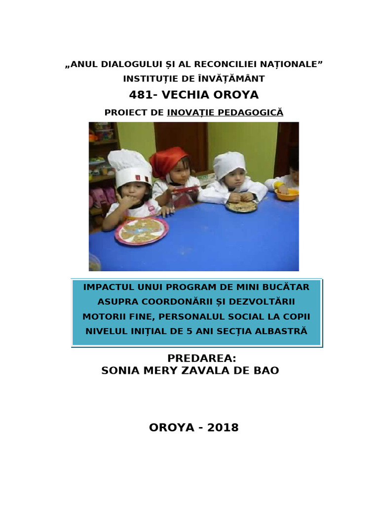 Proiectul Chef | PDF