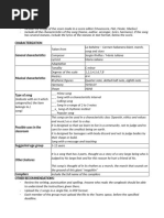 Wisconsin Card Sorting Test (WCST) | PDF | Executive Functions | Psychology