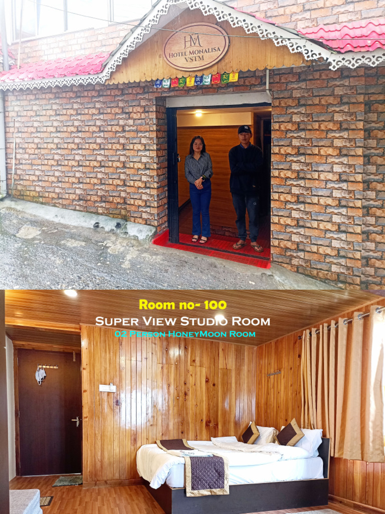 VSTM Monalisa Photo | PDF