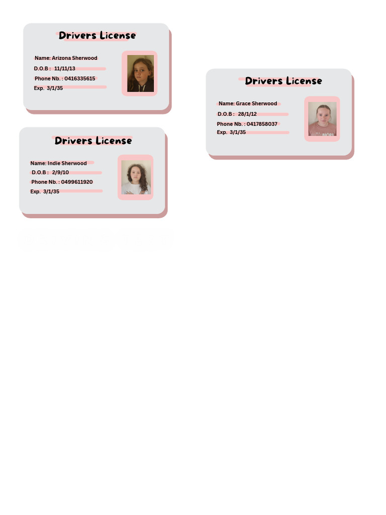 Drivers License Test Checklist | PDF