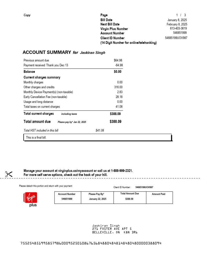Account Summary: $388.09 Total Amount Due | PDF | Payments | Credit Card