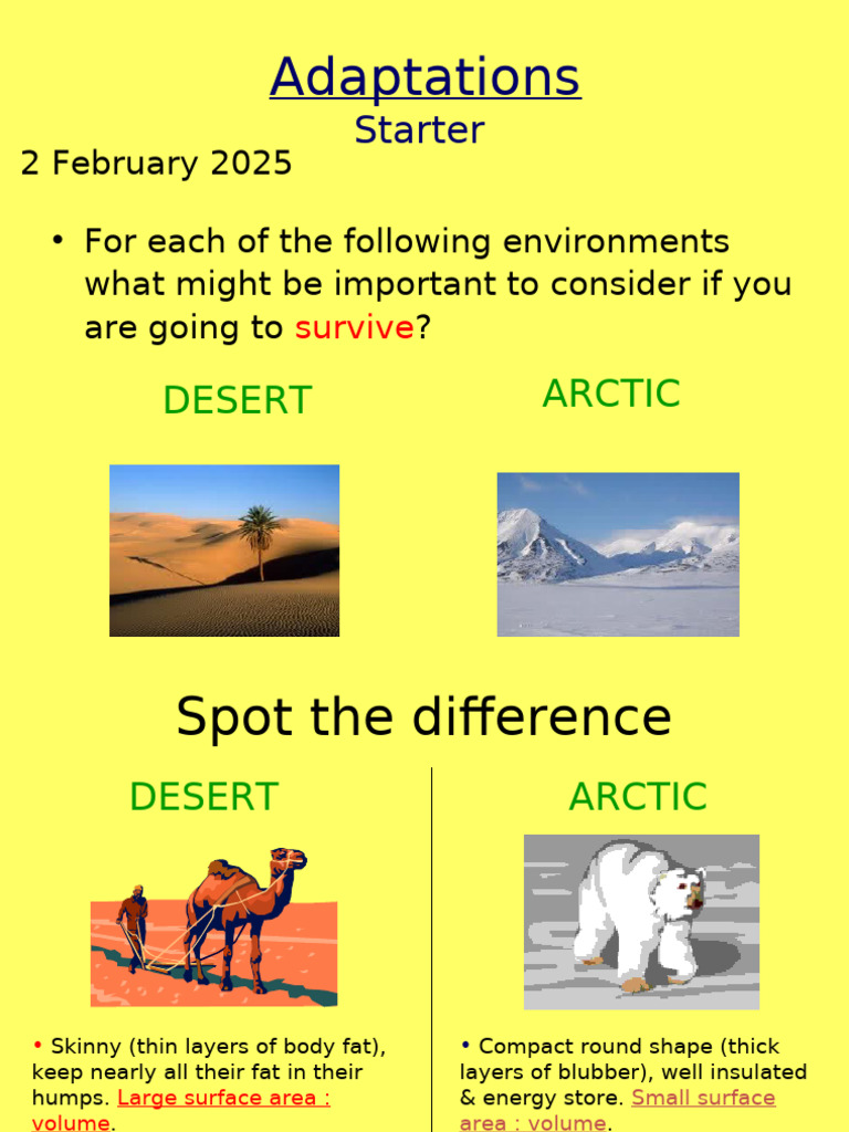 Adaptations | PDF | Adaptation | Desert