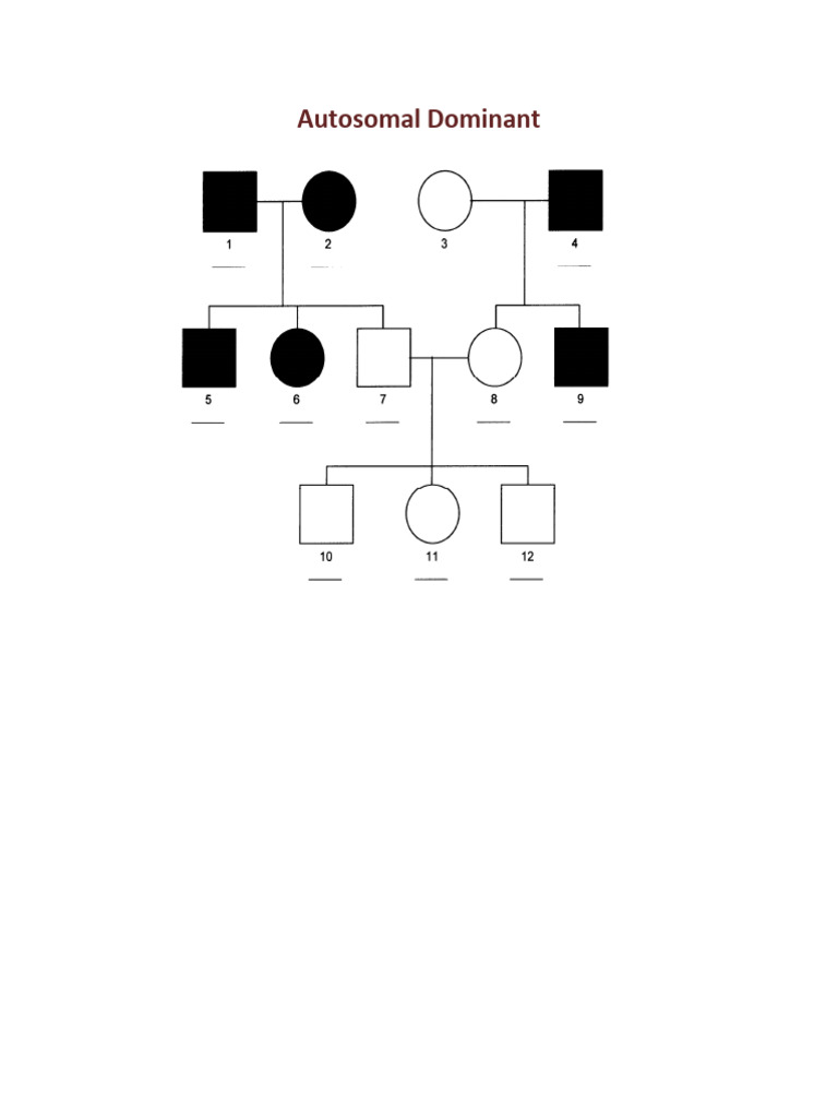Autosomal-Dominant-Inheritance-Blank-Pedigree ...