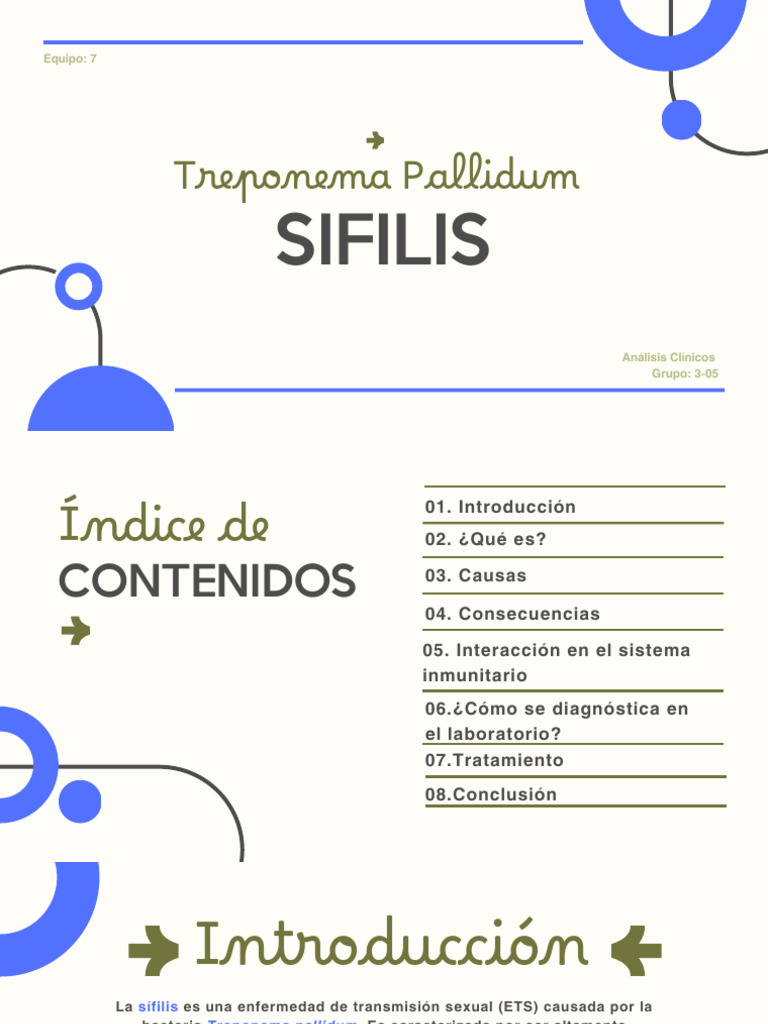 Guía Completa sobre la Sífilis | PDF | Sistema inmune | Infección