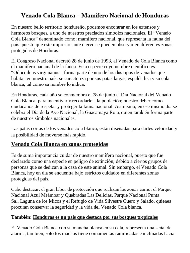 Venado Cola Blanca: Símbolo Nacional de Honduras | PDF | Venado de cola ...