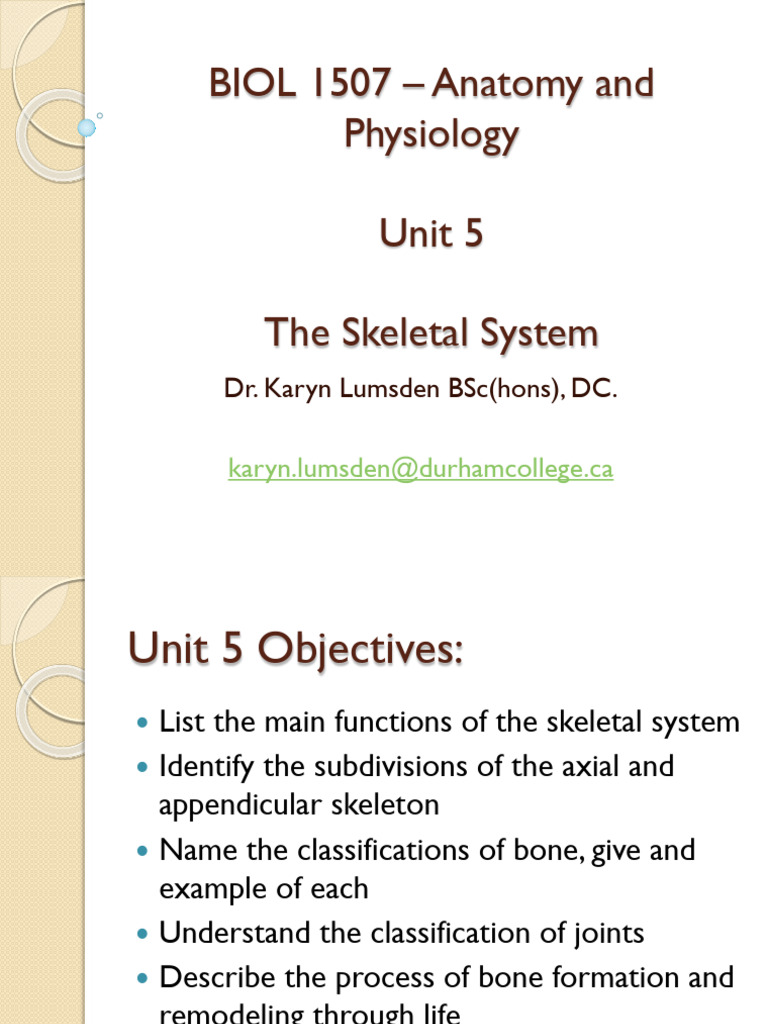 Overview of the Skeletal System | PDF | Bone | Cartilage