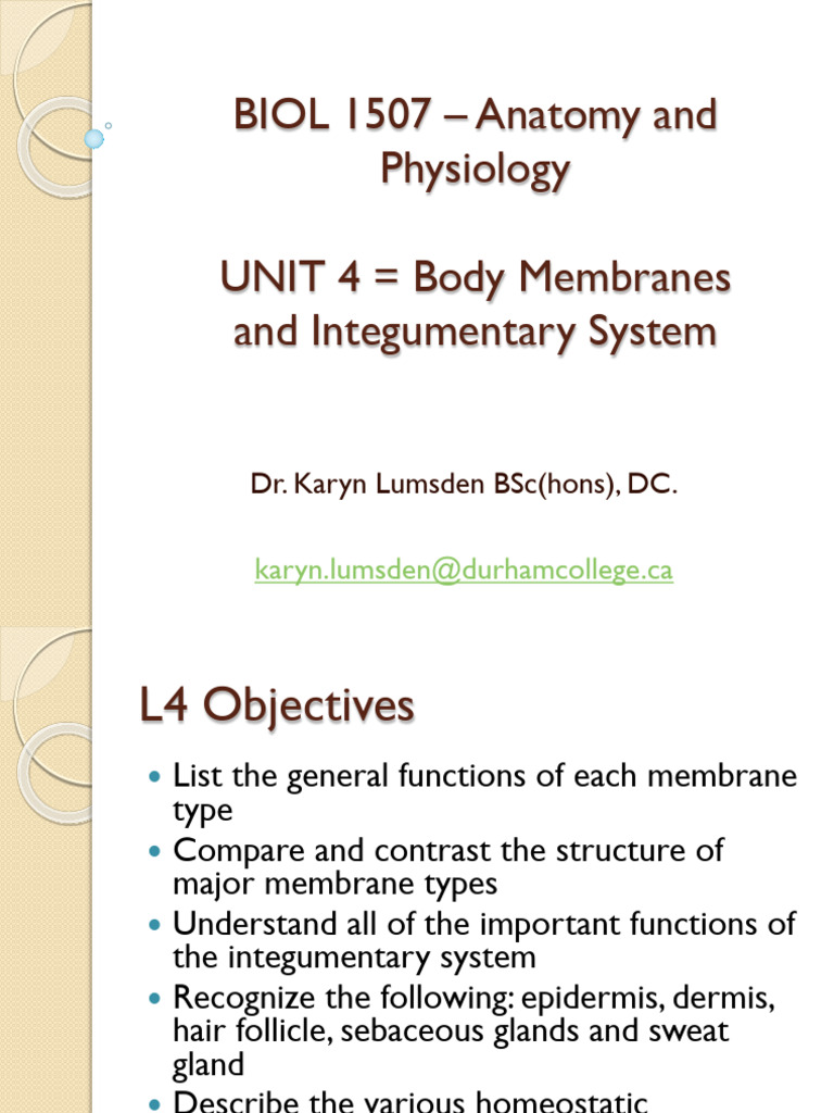 Unit 4 Integumentary System and Body Membranes 2022 | PDF ...