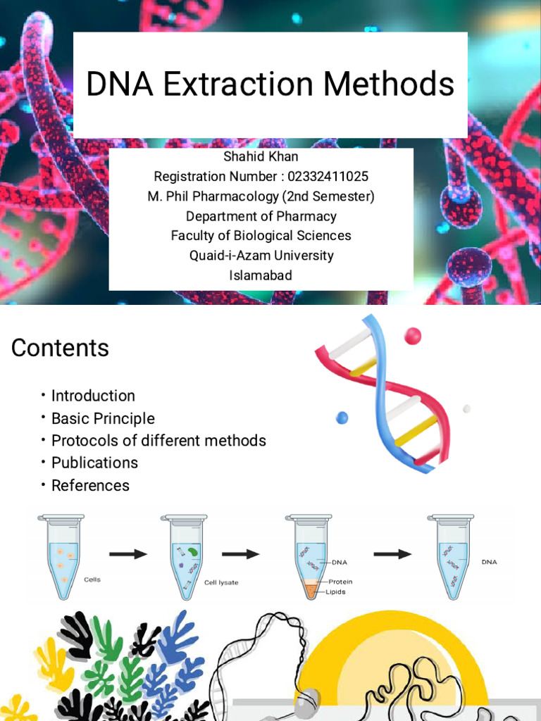 DNA Extraction Methods | PDF | Agarose Gel Electrophoresis | Gel ...