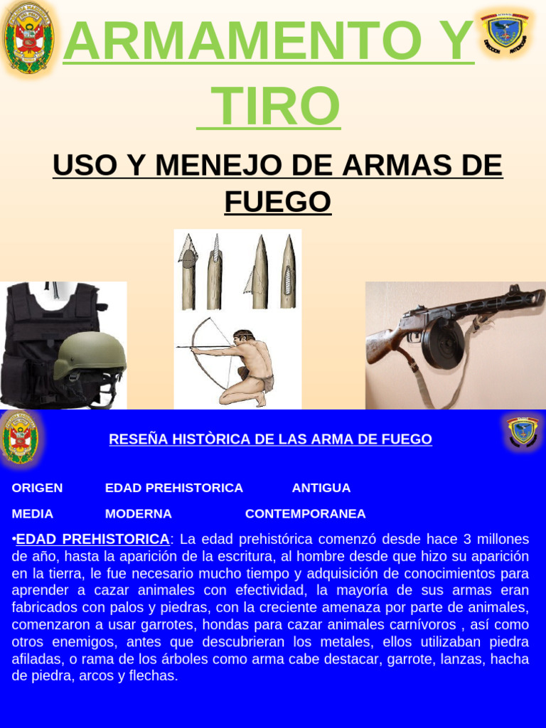 Evolución y Clasificación de Armas de Fuego | PDF | Armas de fuego ...