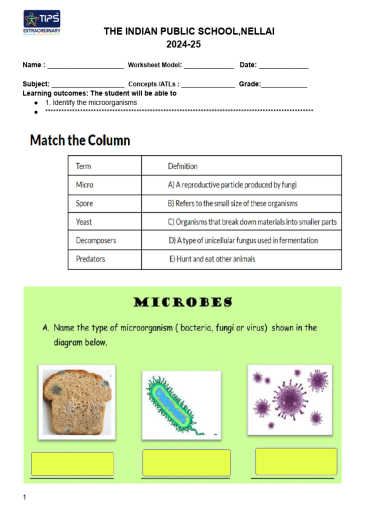 g6 Bio Jan 25 Rev Ws3 | PDF