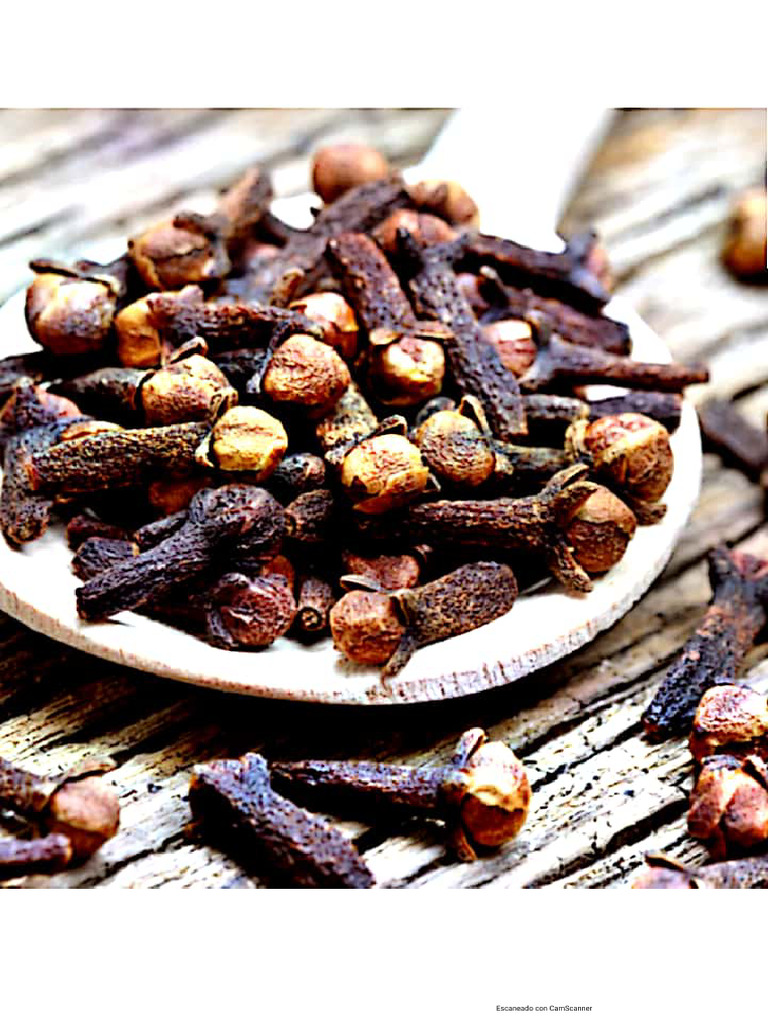 Plantas Medicinales Para Afecciones Pulmonares (Ofun Gando) | PDF