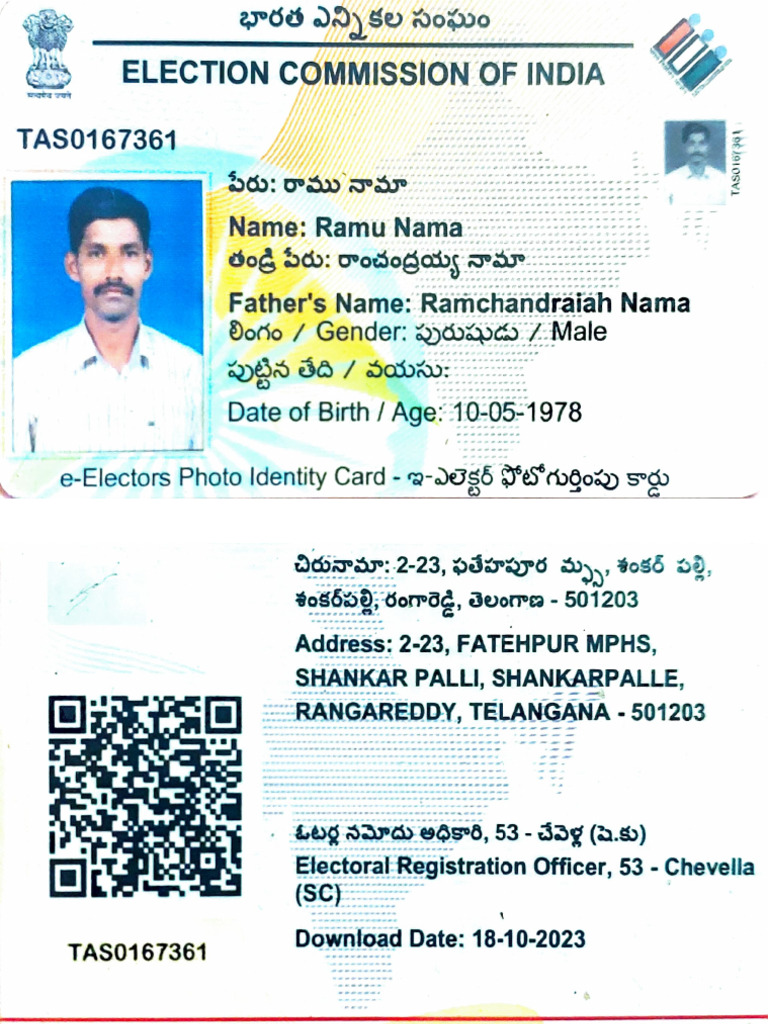 Voter ID | PDF