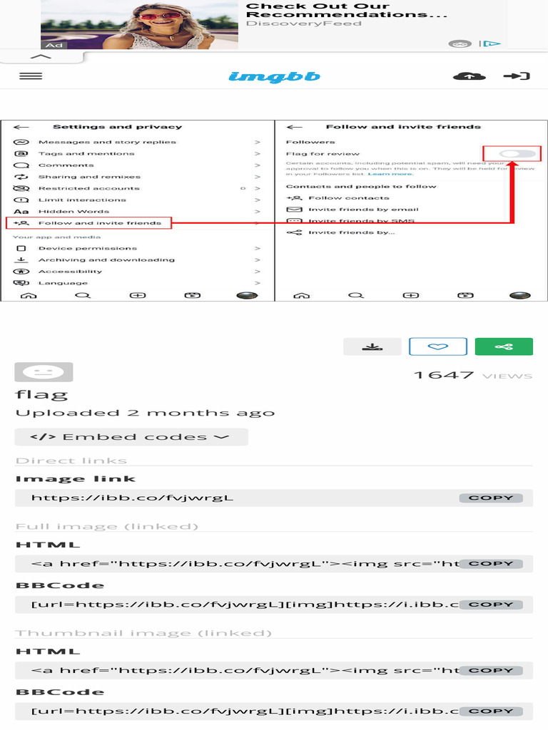 Flag Hosted at ImgBB - ImgBB | PDF