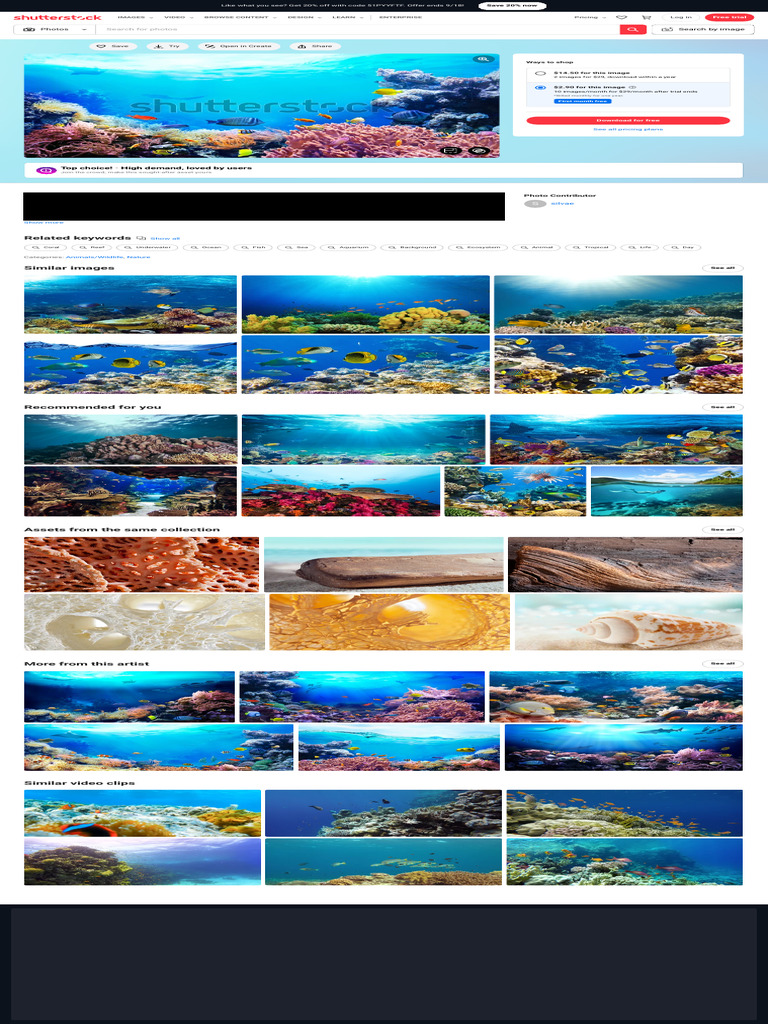 Animals Underwater Sea World Ecosystem Colorful Stock Photo 1691056033 ...