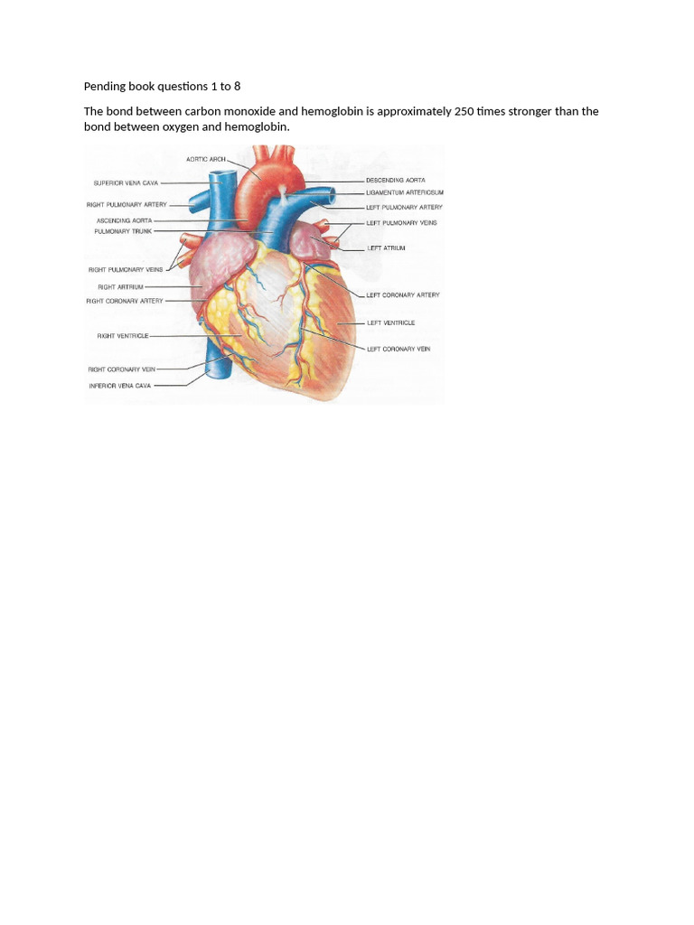 bio selina circulating long | PDF