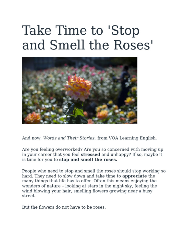 4.take Time To Stop and Smell The Roses | PDF | Rose
