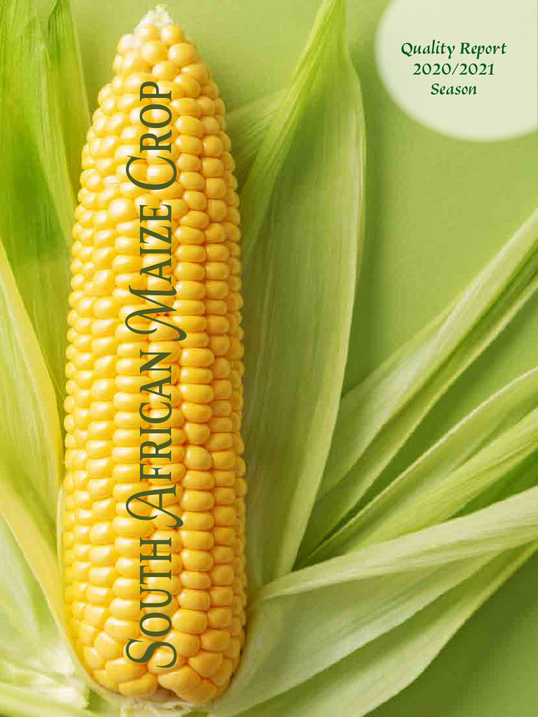 Maize Crop Quality Report 2020 2021 | PDF | Maize | Flour