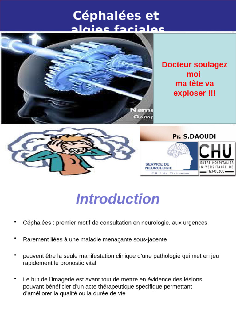 Comprendre les céphalées et migraines | PDF | Céphalée | Migraine
