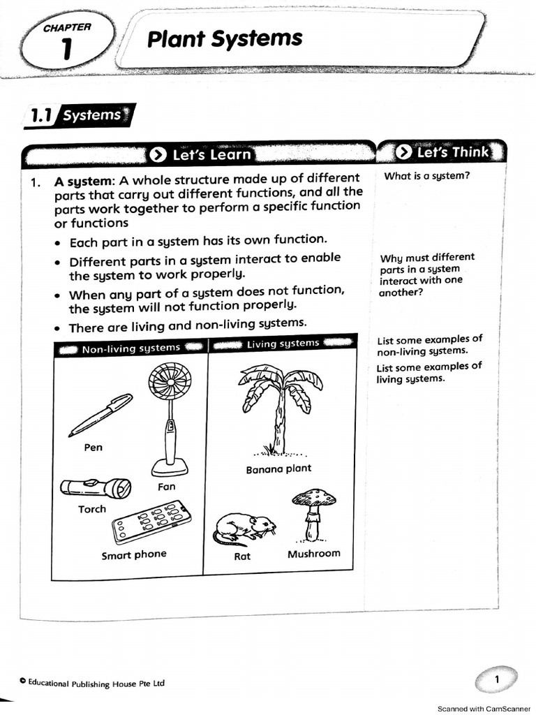 Janet Sim P4 Science Notes and Practice | PDF
