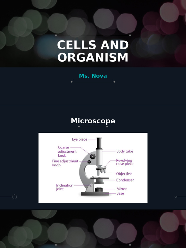 Chapter 2 CELLS | PDF | Cell (Biology) | Chloroplast