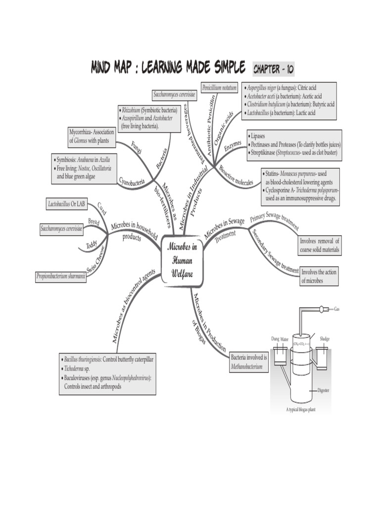 bio con 10 microbe | PDF | Microorganism | Organisms
