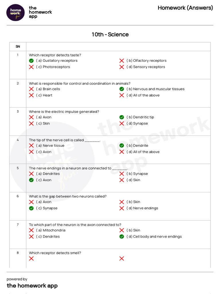 Answers - Homework - 10th - Science - 2025-01-29T1404 | PDF | Neuron ...