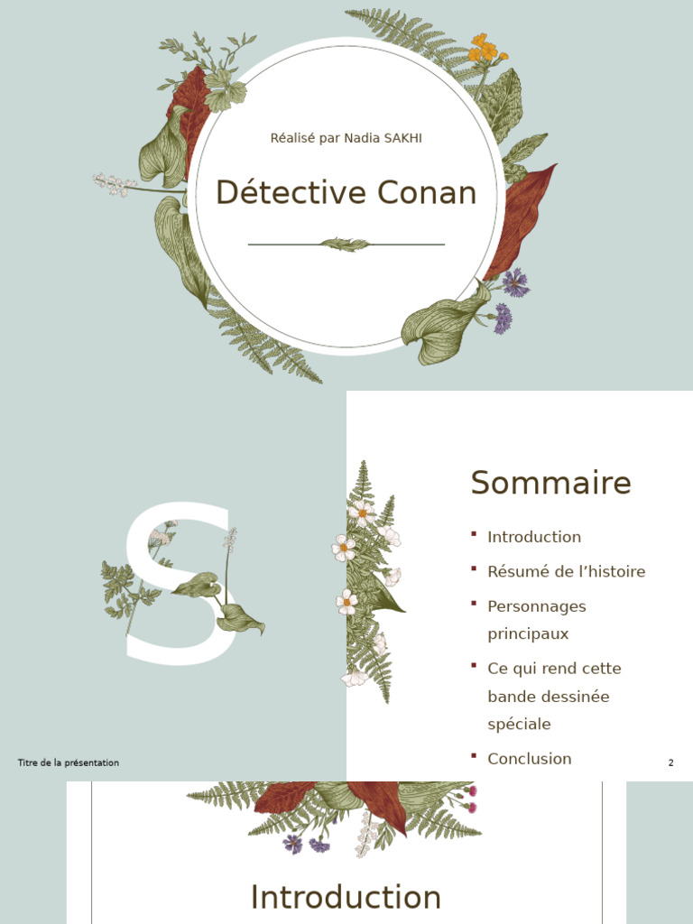 Détective Conan | PDF