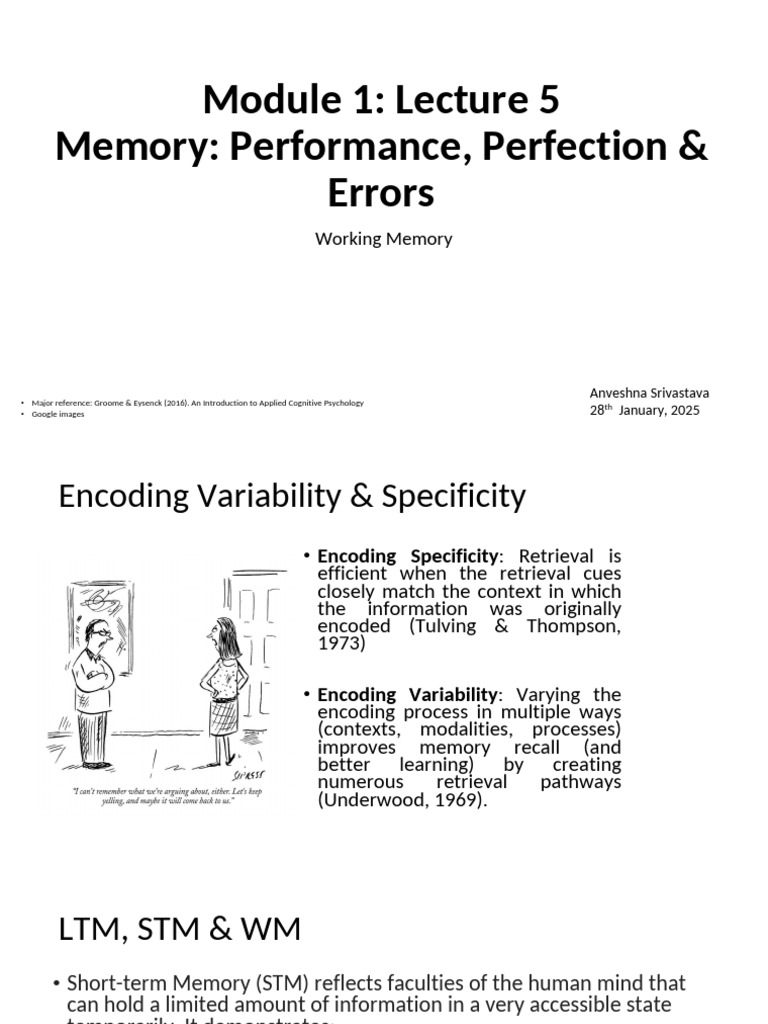 Understanding Working Memory Dynamics | PDF | Memory | Working Memory