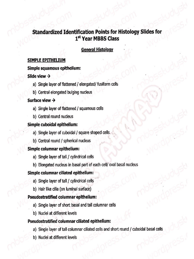 IDENTIFICATION POINTS-HISTOLOGY PRCTCL | PDF