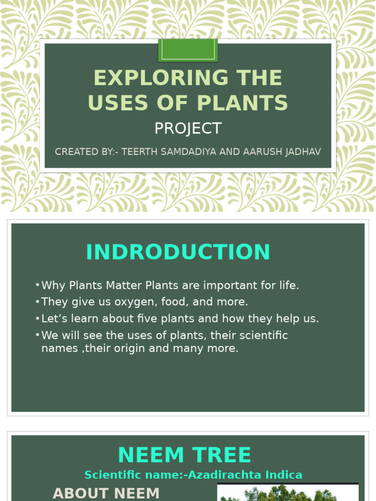 Uses of Plants: Benefits and Insights | PDF | Plants | Botany