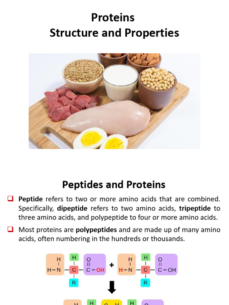 4-Proteins, Structure and Properties | PDF | Peptide | Amino Acid